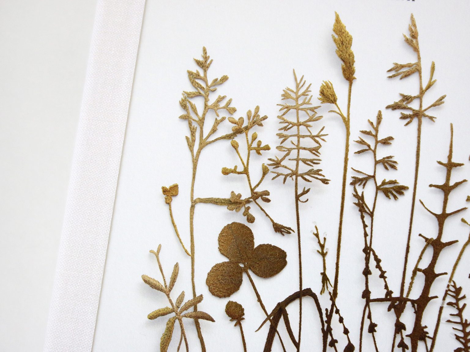 K. Barons un citi latvieši "Mūsu tēvzemes aprakstīšana" - eveikals ...